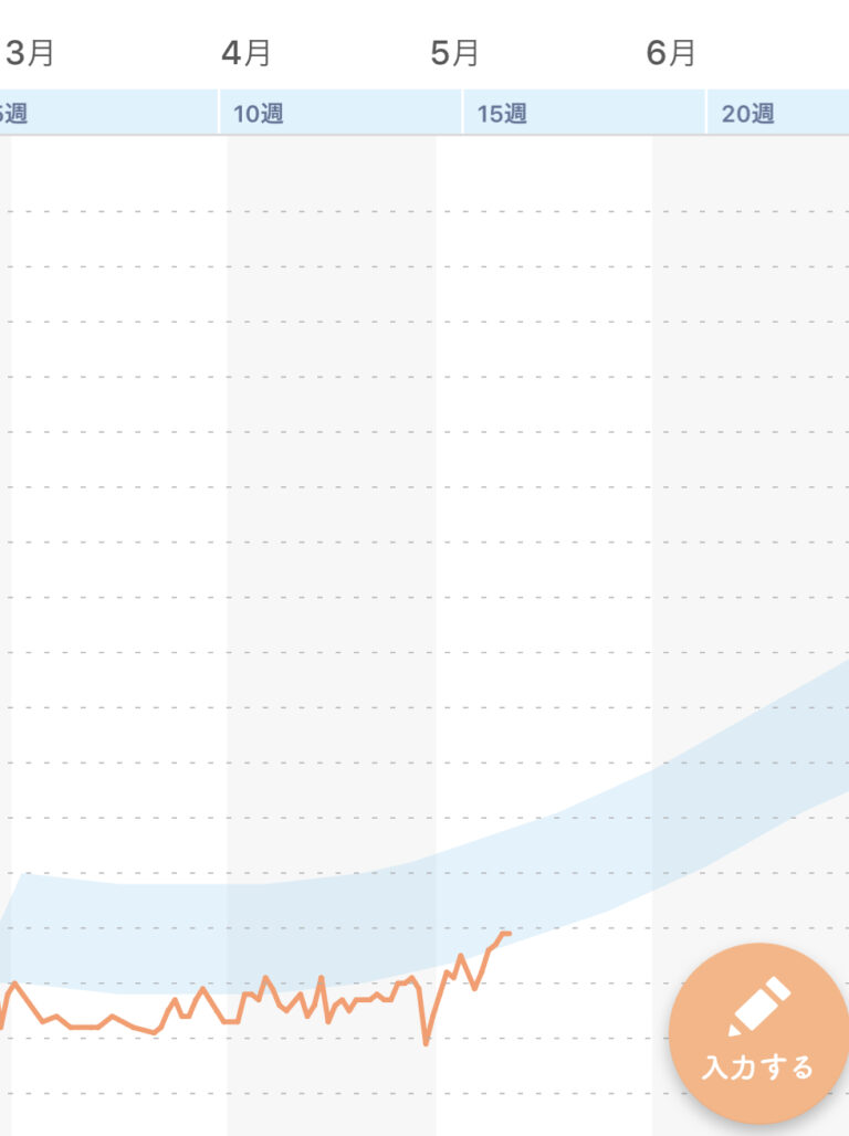 【妊娠4ヶ月目】妊婦健診②・つわり終了【12週〜15週】 | kinocoの日々